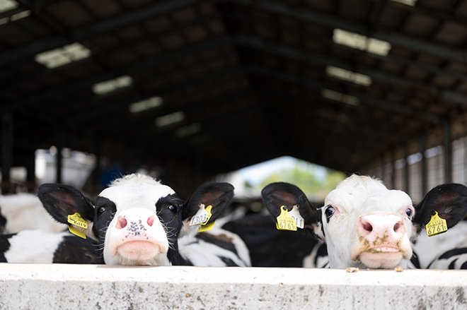 home - Emi Masuda Photo Works