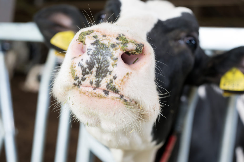 home - Emi Masuda Photo Works