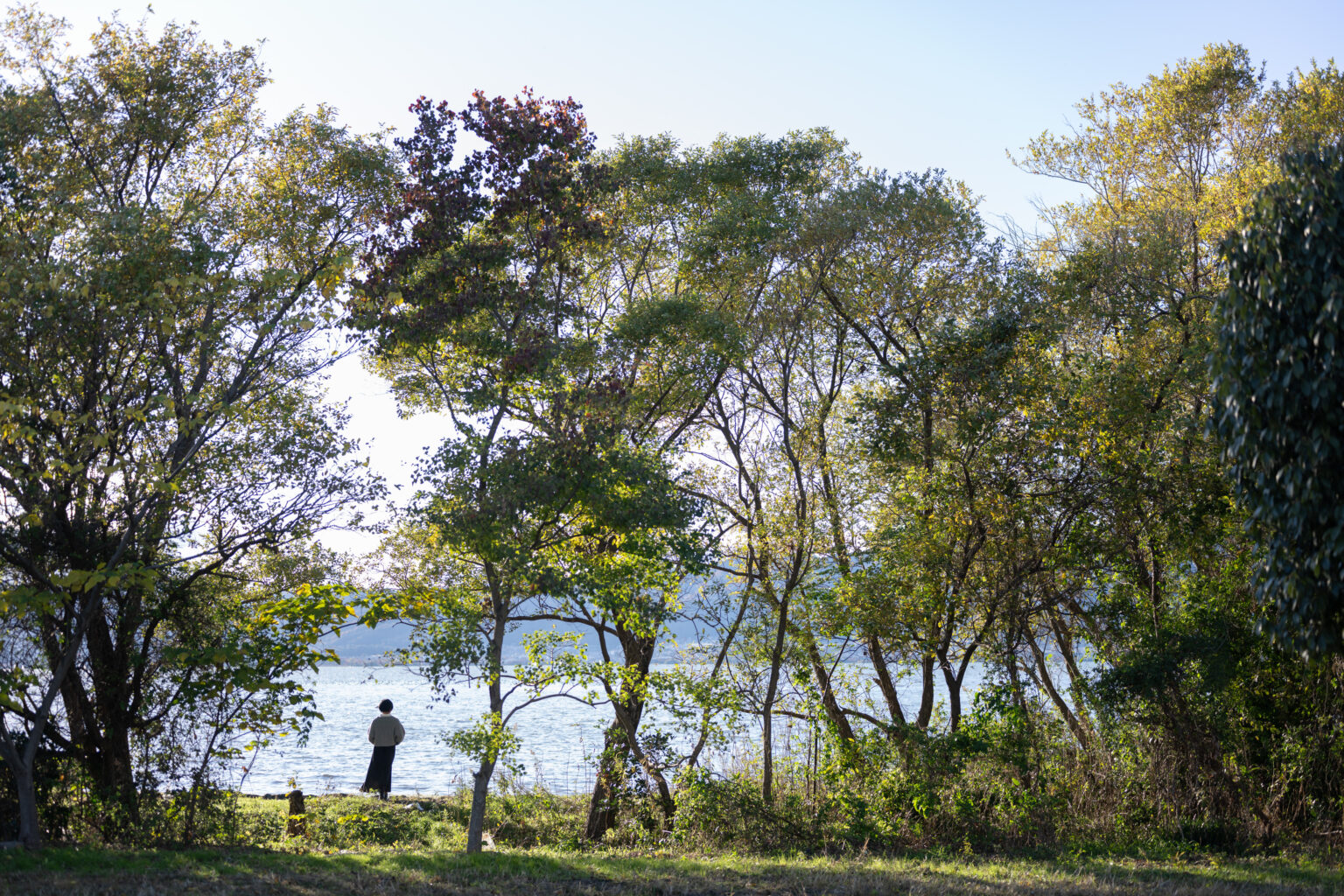 Emi Masuda Photo Works – 増田えみ写真事務所 京都・料理写真・メニュー撮影・出張撮影・女性カメラマン